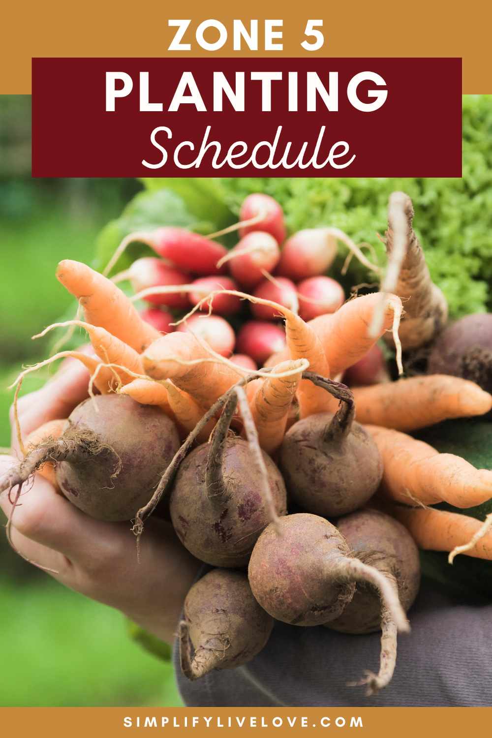 Make Your Garden Grow: Zone 5 Planting Schedule - Simplify, Live, Love