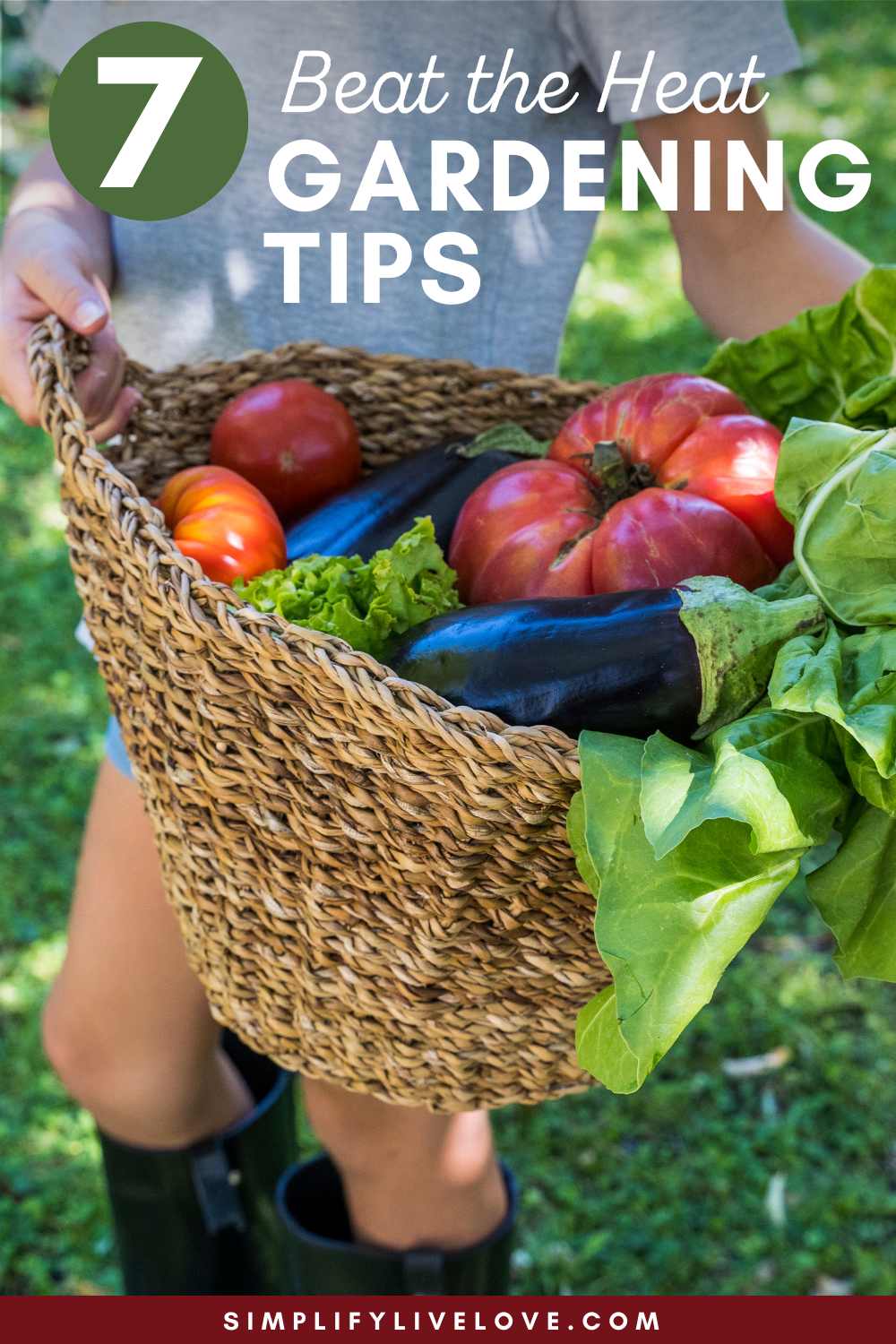 Gardening in High Heat: Save Your Plants with These Simple Tips ...