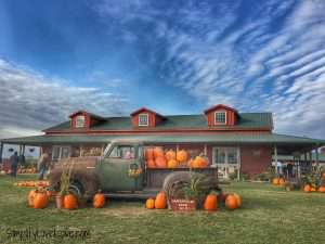13 Amazing Pumpkin Patches In Iowa to Visit Fall 2024 - Simplify, Live ...