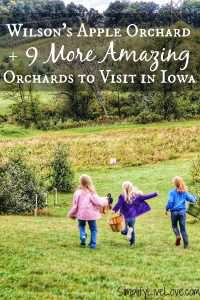 Wilson's Apple Orchard + 9 More Amazing Apple Orchards in Iowa ...