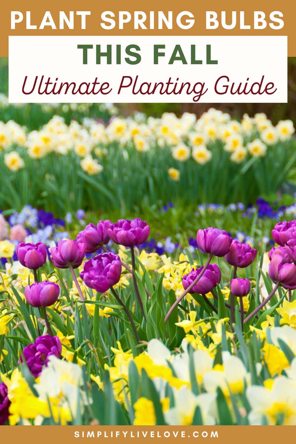 Fall Planting Guide for Show-Stopping Spring Blooms - Simplify, Live, Love