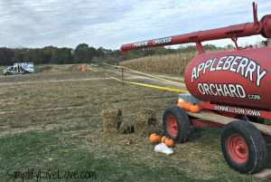 Wilson's Apple Orchard + 9 More Amazing Apple Orchards in Iowa ...