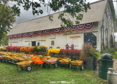 13 Amazing Pumpkin Patches In Iowa to Visit Fall 2024 - Simplify, Live ...