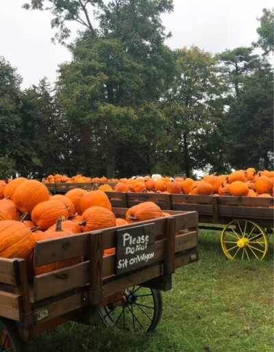 13 Amazing Pumpkin Patches In Iowa to Visit Fall 2024 - Simplify, Live ...