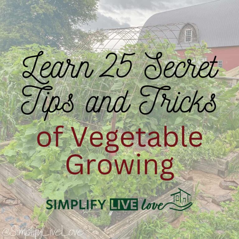 25 Secrets to Vegetable Gardening -Tips & Tricks for Success - Simplify ...
