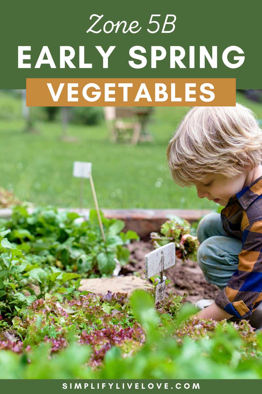 Early Spring Vegetables in Zone 5 to Plant in March - Simplify, Live, Love
