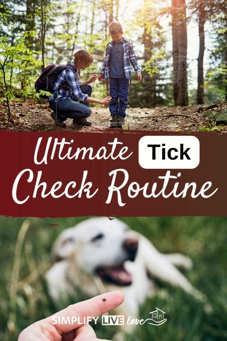 The Ultimate Tick Check Routine: Protect Your Family and Furbabies ...