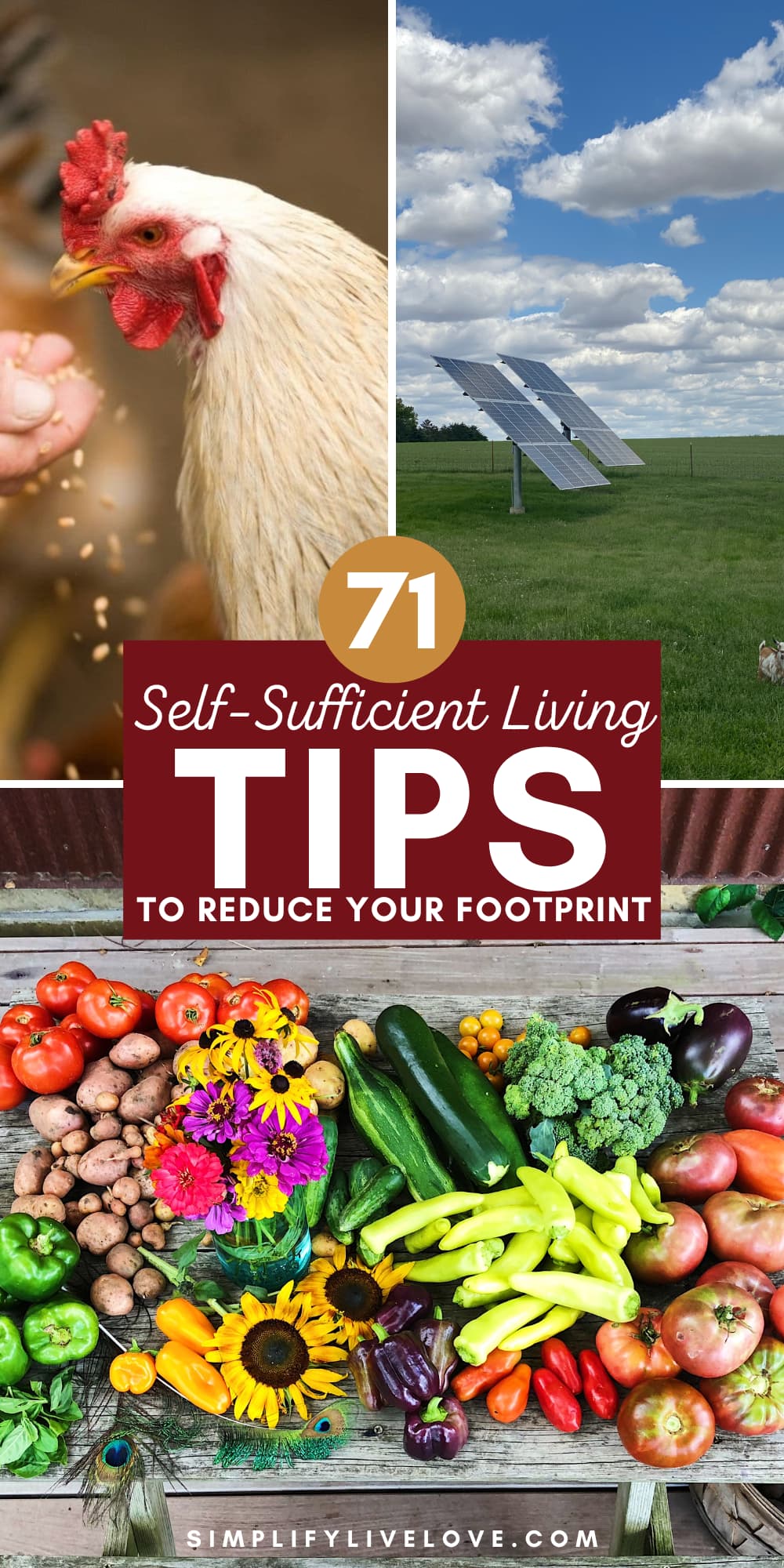 71 Self-Sufficient Living Tips to Reduce Your Impact on the Earth ...
