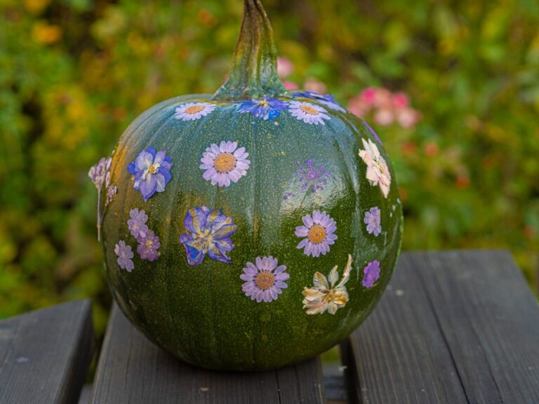 Last Minute Ways to Decorate Pumpkins Without Carving - Simplify, Live ...