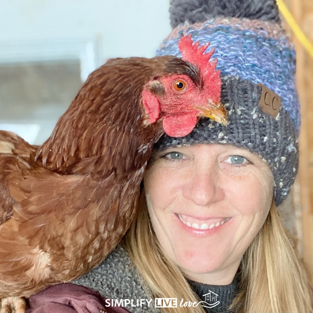 16 Gifts For Chicken Lovers GemmaStefey 16 Gifts For Chicken Lovers GemmaStefey