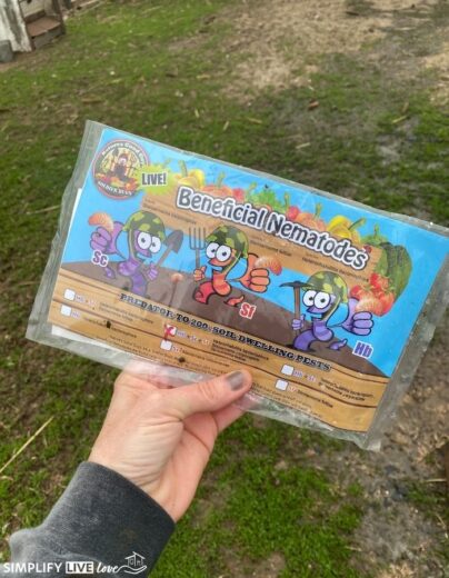 10 Most Effective Types of Organic Garden Pest Control Methods ...