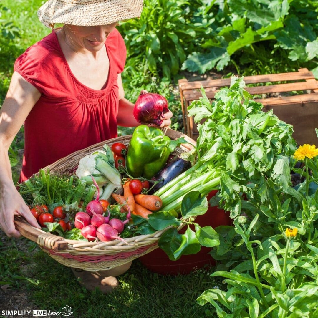 10 Most Effective Types of Organic Garden Pest Control Methods ...