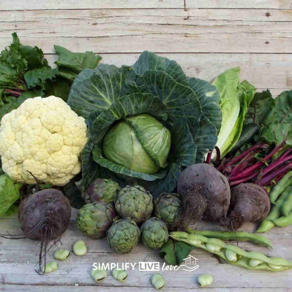 5 Ways it's Possible to Continue Seasonal Eating in Winter - Simplify ...