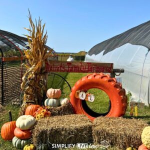 13 Amazing Pumpkin Patches In Iowa to Visit Fall 2024 - Simplify, Live ...