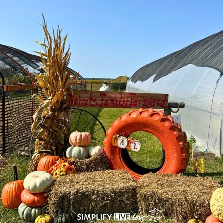 13 Amazing Pumpkin Patches In Iowa to Visit Fall 2024 - Simplify, Live ...