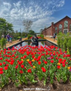 Top 15 Teen-Friendly Attractions in St. Louis You Can’t Miss - Simplify ...