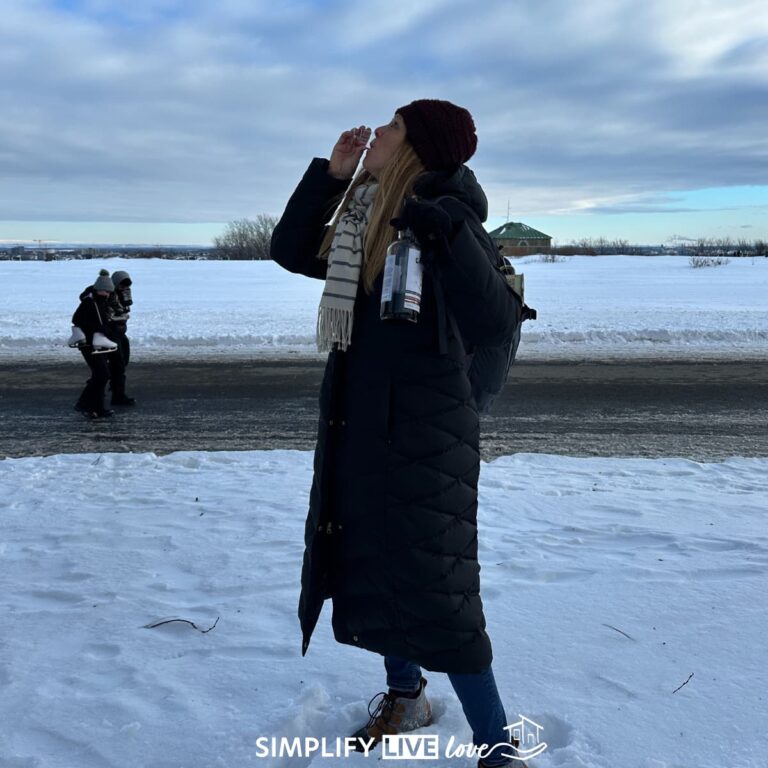 What to Drink in Québec During Winter: 8 Traditional Beverages You Can ...