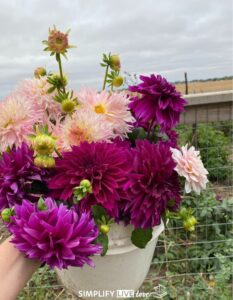 How to Grow a Beautiful Cut Flower Garden - Simplify, Live, Love