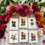 How to Grow a Beautiful Cut Flower Garden - Simplify, Live, Love
