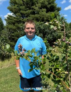7 Ways to Support Iowa's Agri-Tourism Scene in DeWitt, Iowa - Simplify ...