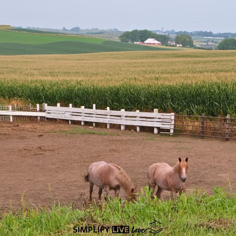 3 Underrated Small Towns in Western Iowa to Explore this Fall ...
