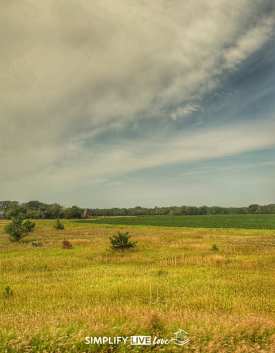 Pros and Cons of Taking a Sleeper Car on Amtrak's Empire Builder ...