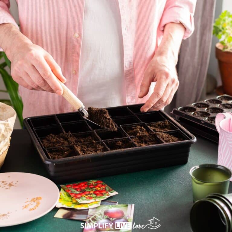 The Best Seed Starting Supplies I Actually Use (Plus the Cheap Swaps ...